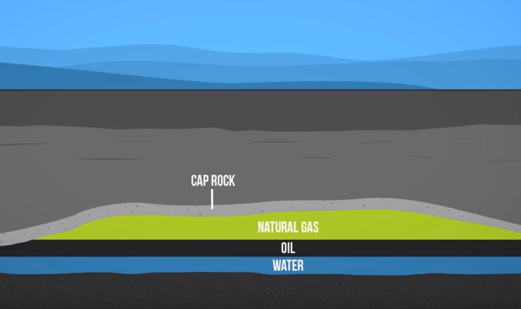 About Us - Bioflex Packaging