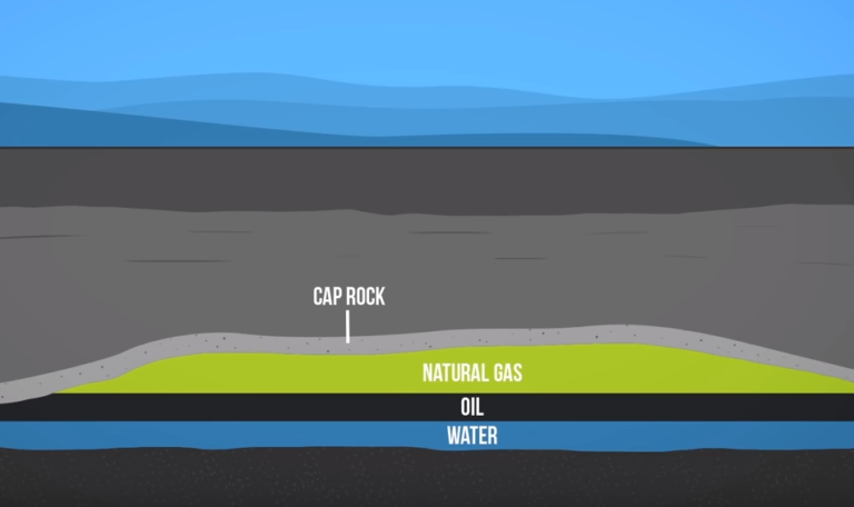 Contact - Bioflex Packaging